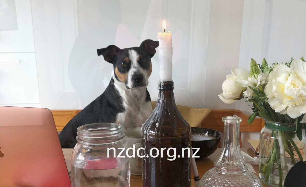 Innate Series - New Zealand Dance Company